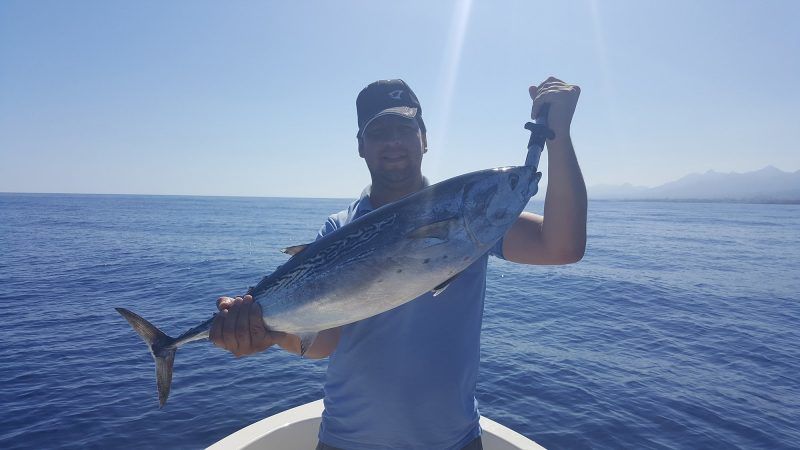 Yazılı Orkinos Avı - Balık Oltamda