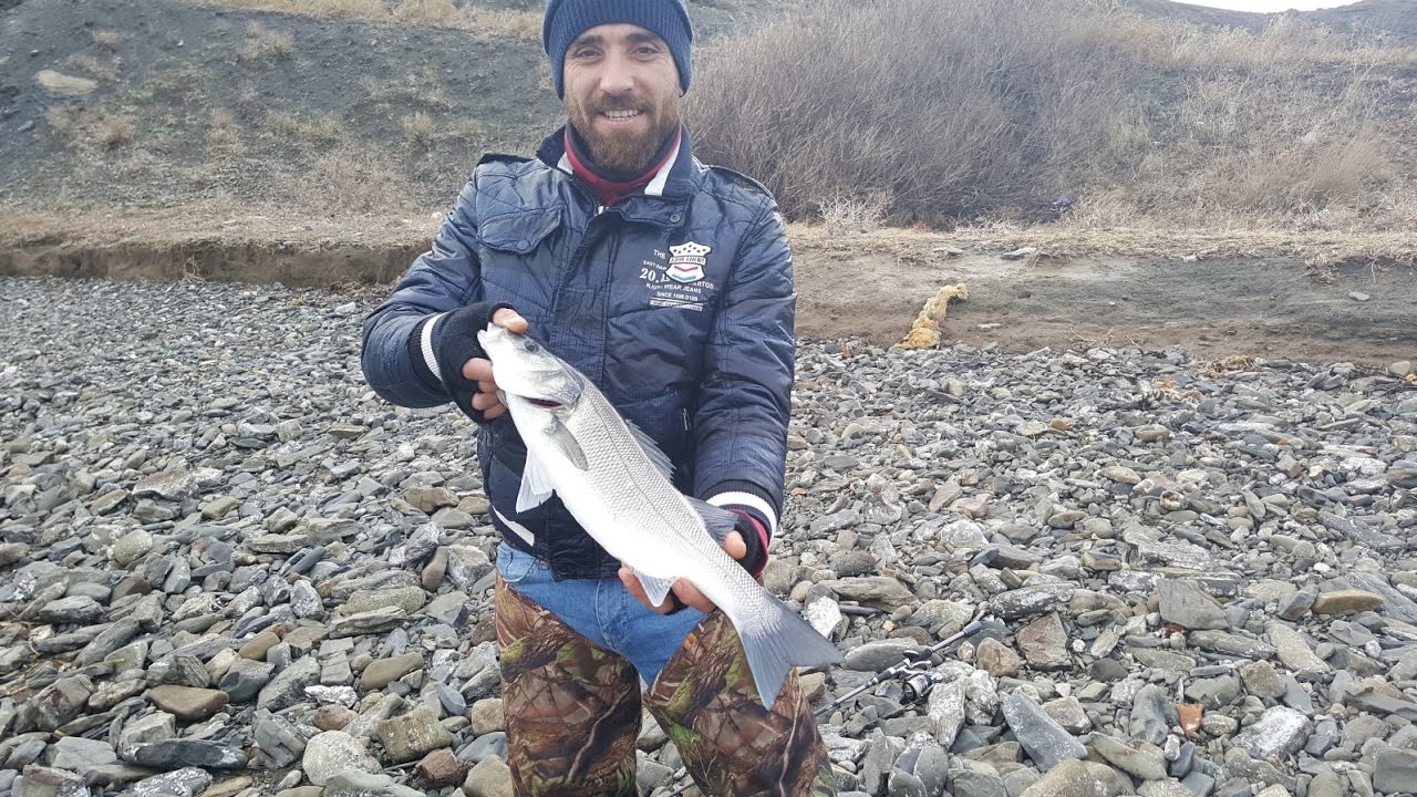 Levrek- Spinning Fishing Avı - Balık Oltamda