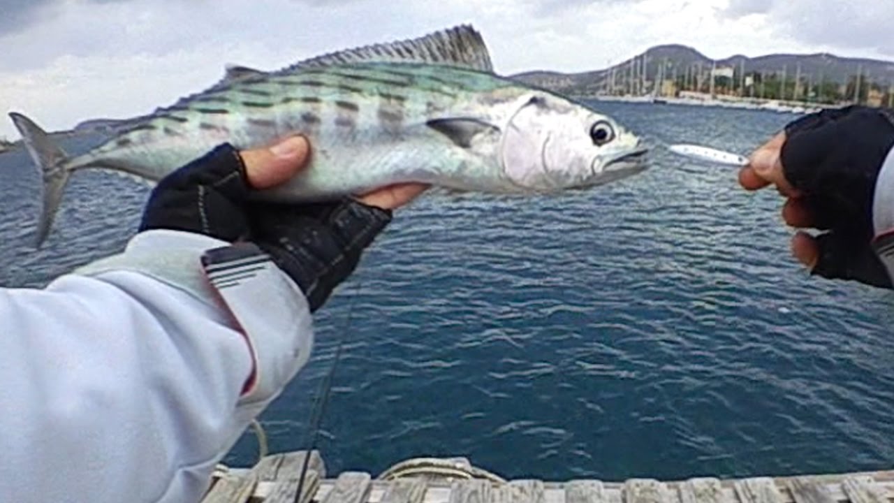 Palamut avı - Light Shore Jigging - Balık Oltamda