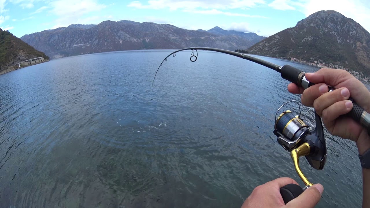 Shore Slow Jigging ile Torik Avı - Balık Oltamda