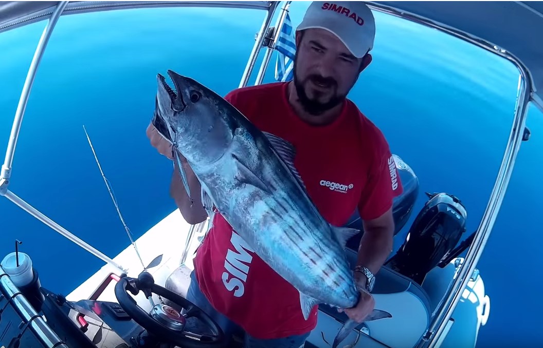 Slow jigging ile muhteşem torik avı - Balık Oltamda