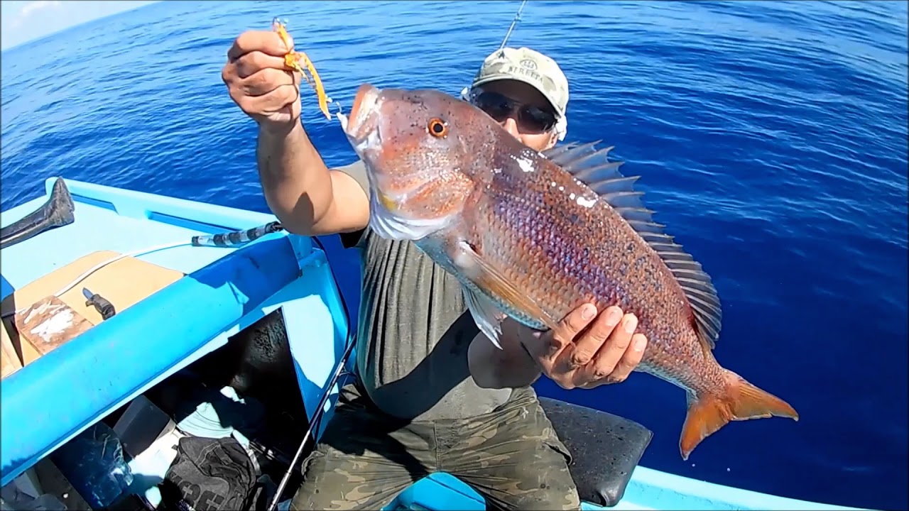 Doğan Kandili - Fangri ve Sinarit Avı - Balık Oltamda