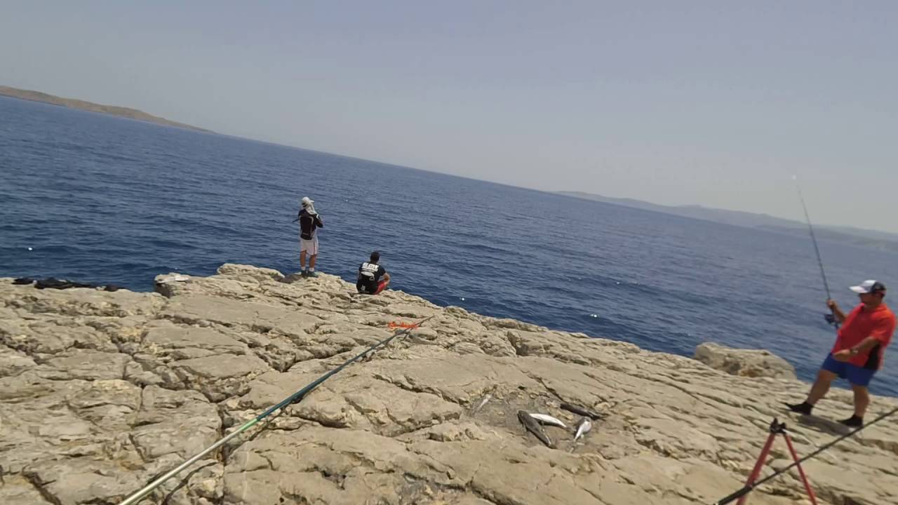 Shore Jigging Ile Yakalanan Barak da Bal k Oltamda shore-jigging-ile-yakalanan-barak-da-bal-k-oltamda