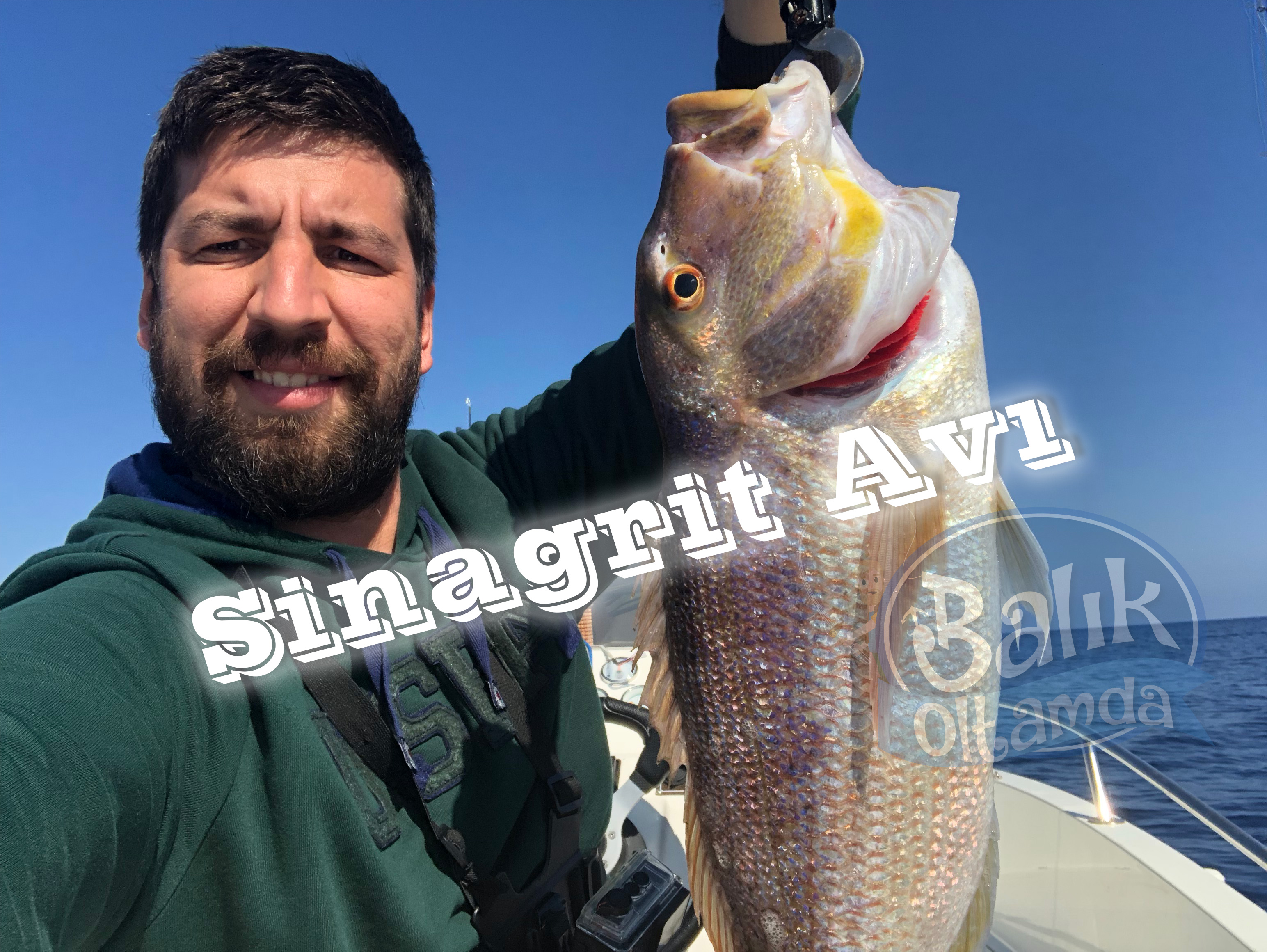 Denizlerimizin prensesi sinagrit ve fangri avım - Balık Oltamda