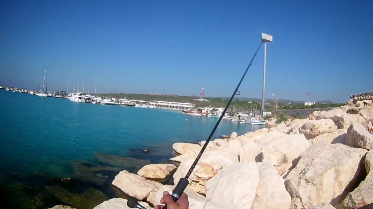 Lüfer - Balık Avı - Mersin Tırtar Limanı - Balık Oltamda