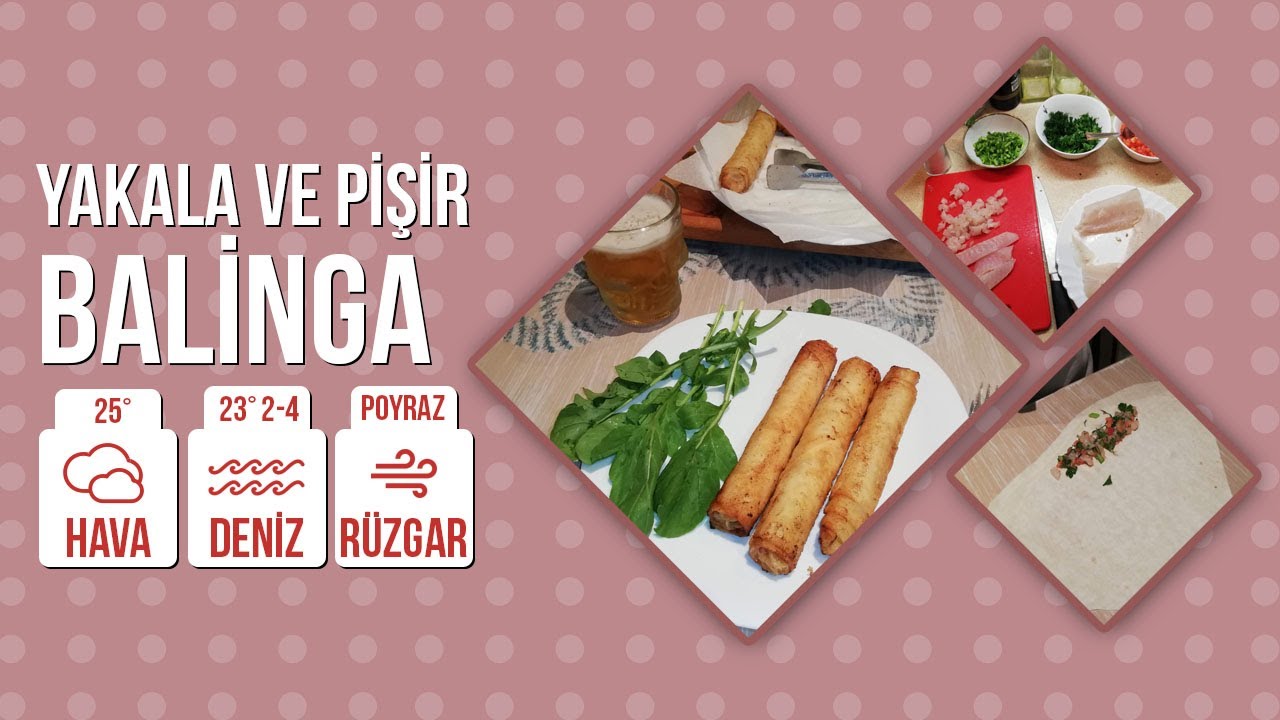 Yakala Ve Pişir Balinga | Catch And Cook Ballan Wrasse - Balık Oltamda