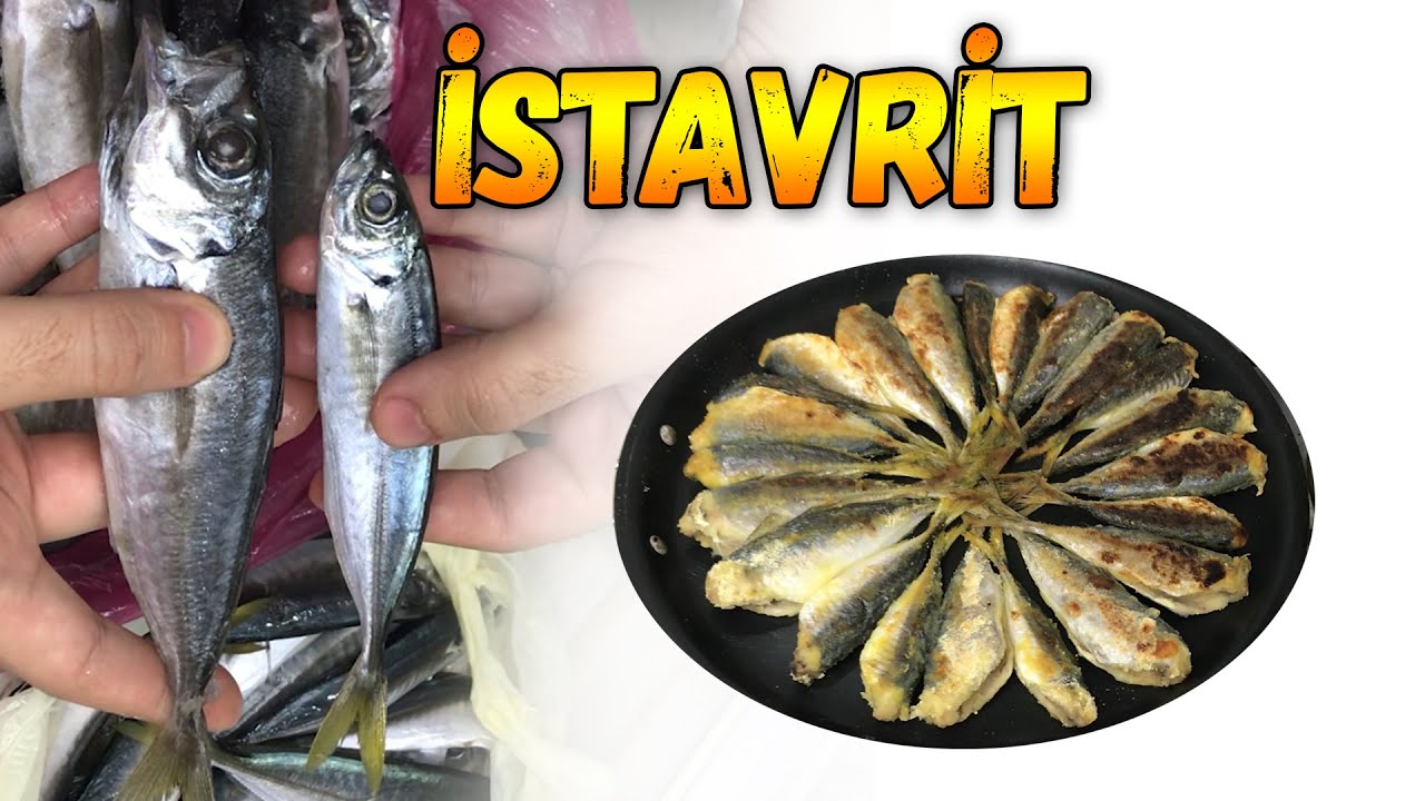 İstavrit Balığı Özellikleri ve Pişirme Taktikleri - Balık Oltamda